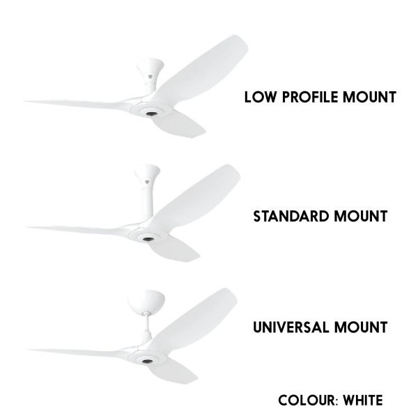 Haiku 60″ I-series DC Fan, Optional Dimmable LED Light (Warm) | Azora